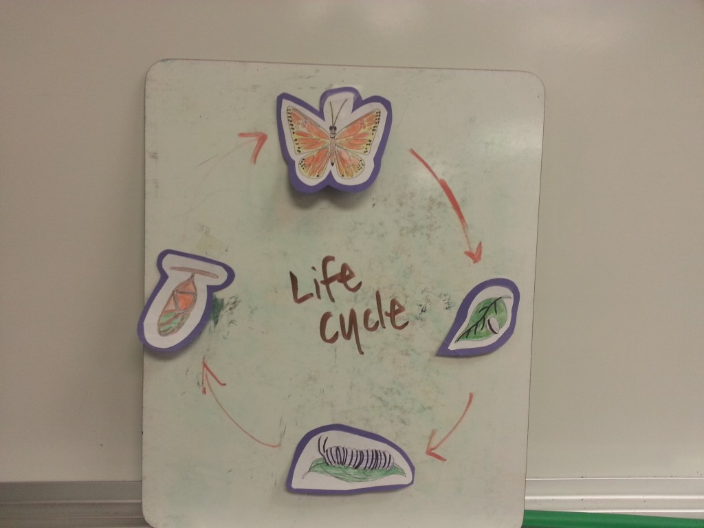 Sequencing Events – Everyday Teaching Autism Resources