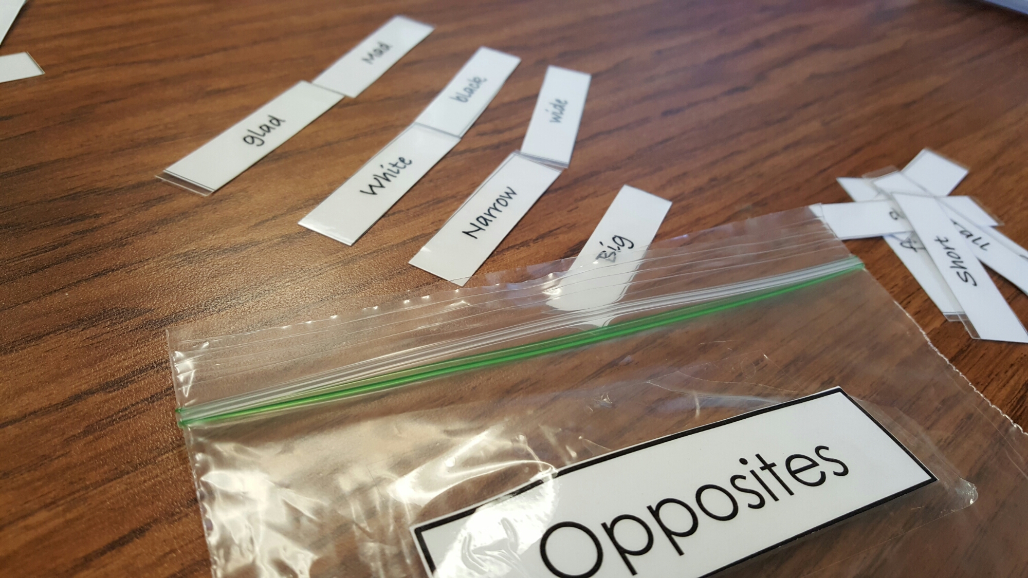 Word Sorts – Everyday Teaching Autism Resources