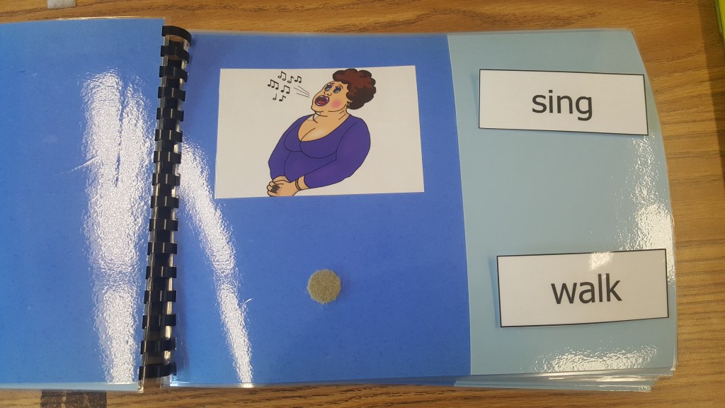 Autism and Literacy Skills – Everyday Teaching Autism Resources